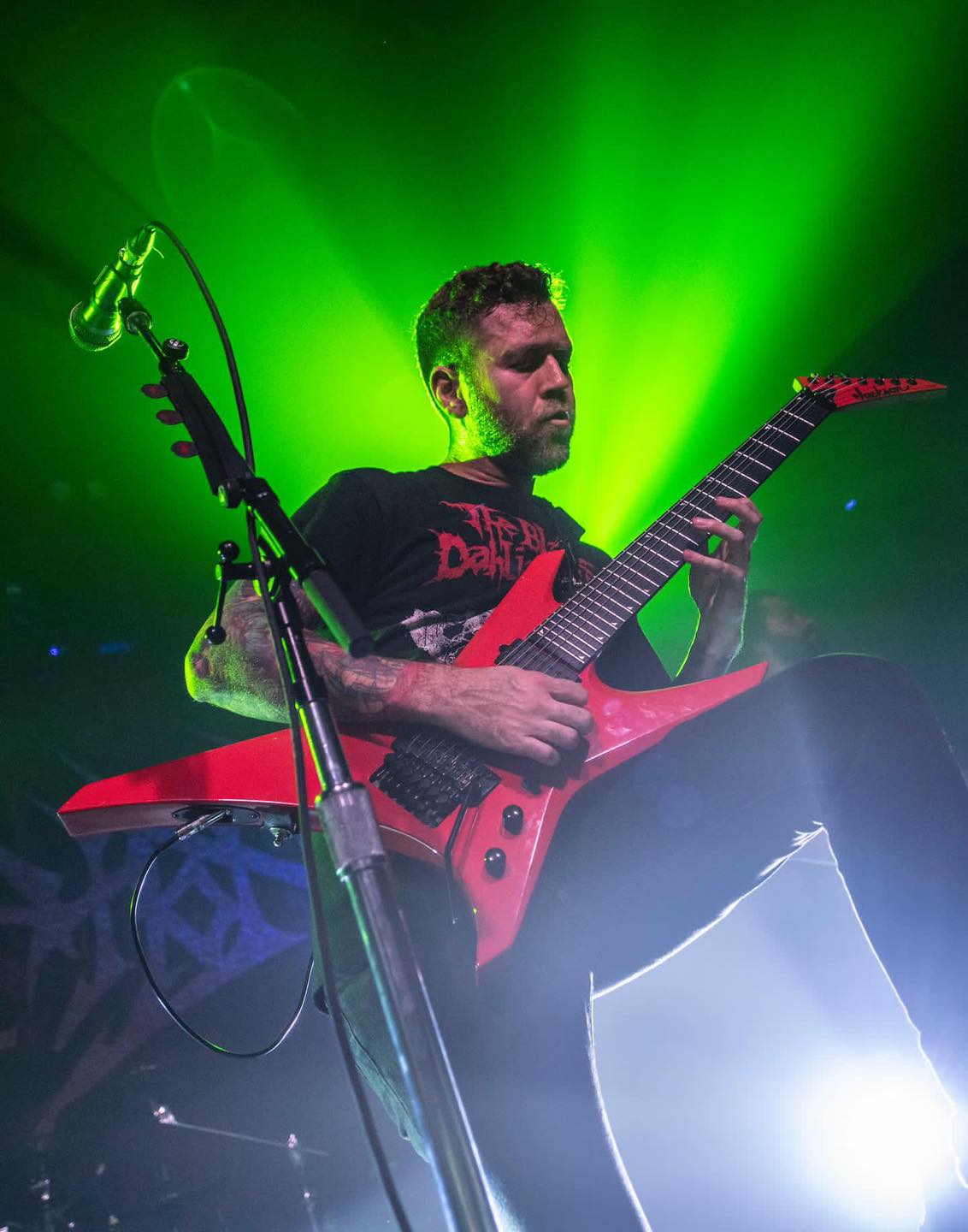 Revocation Official Website